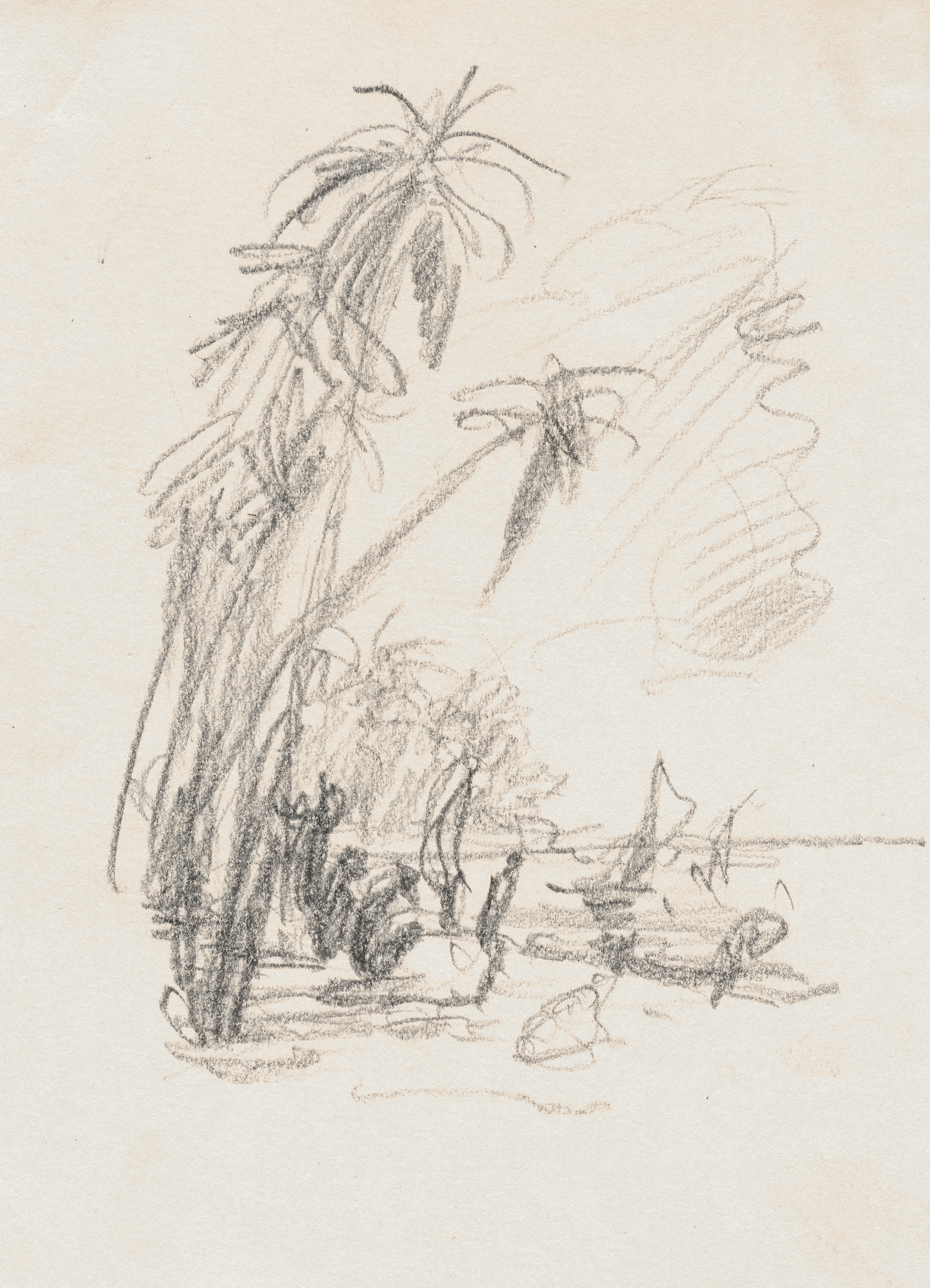 Voyage around the World