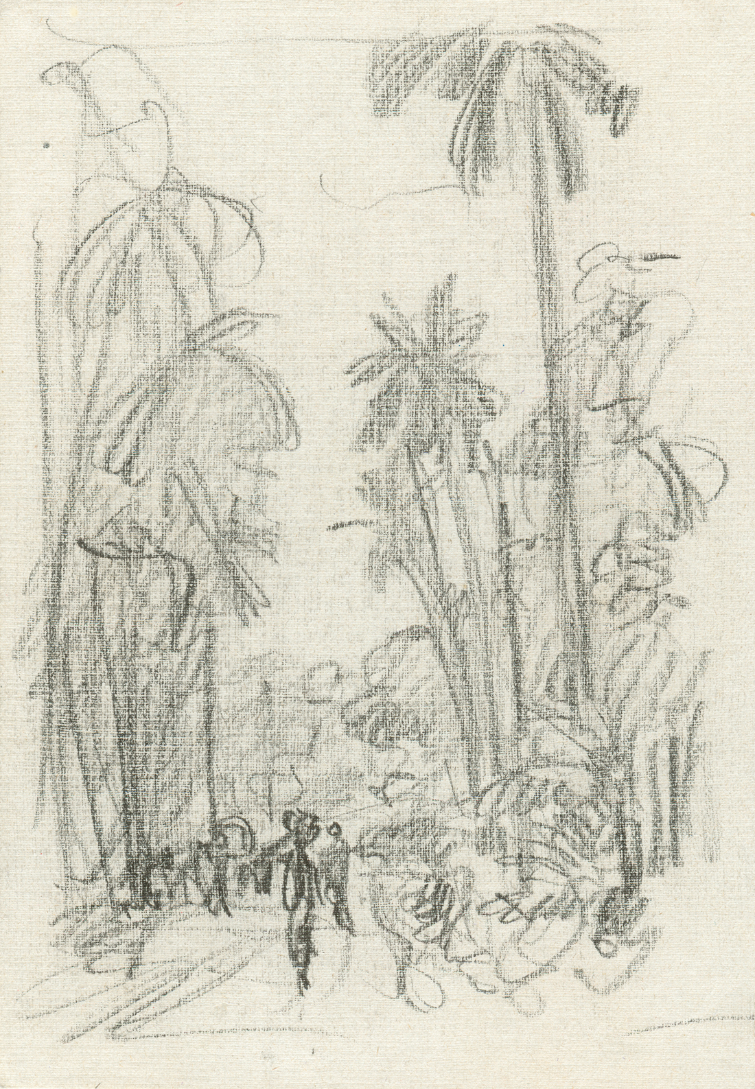 Voyage around the World